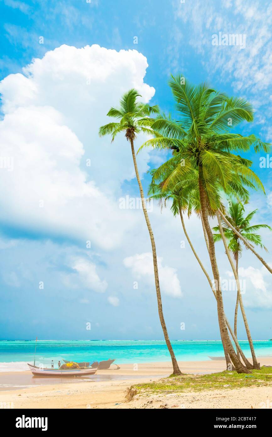 Beautiful sunet hi-res stock photography and images - Alamy