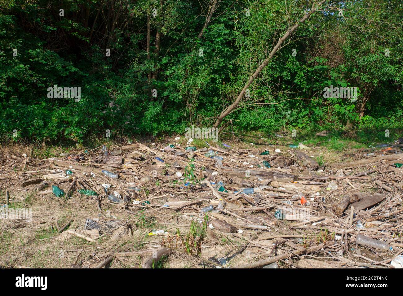 pollution with garbage or plastic waste in nature. forest scene Stock ...