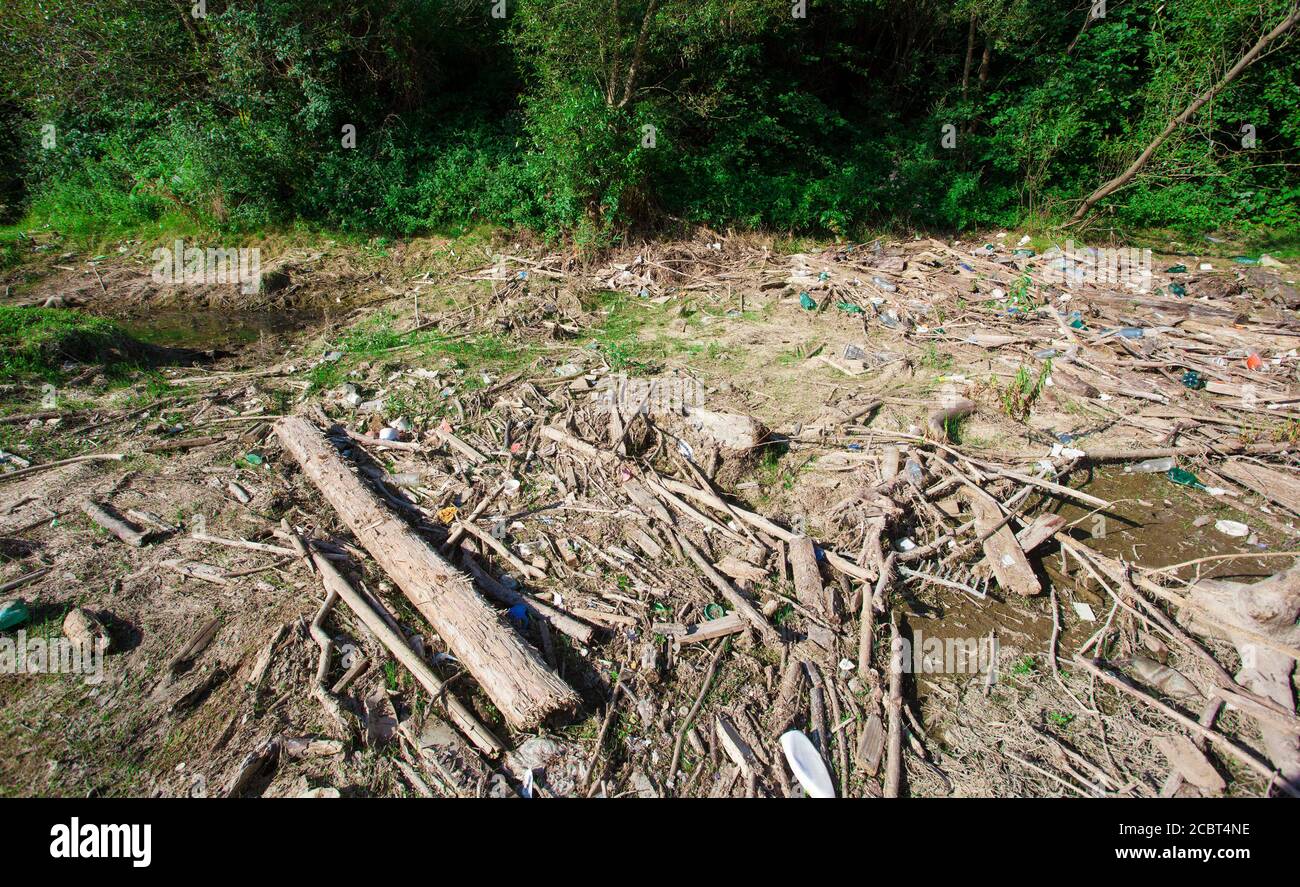 pollution with garbage or plastic waste in nature. forest scene Stock ...
