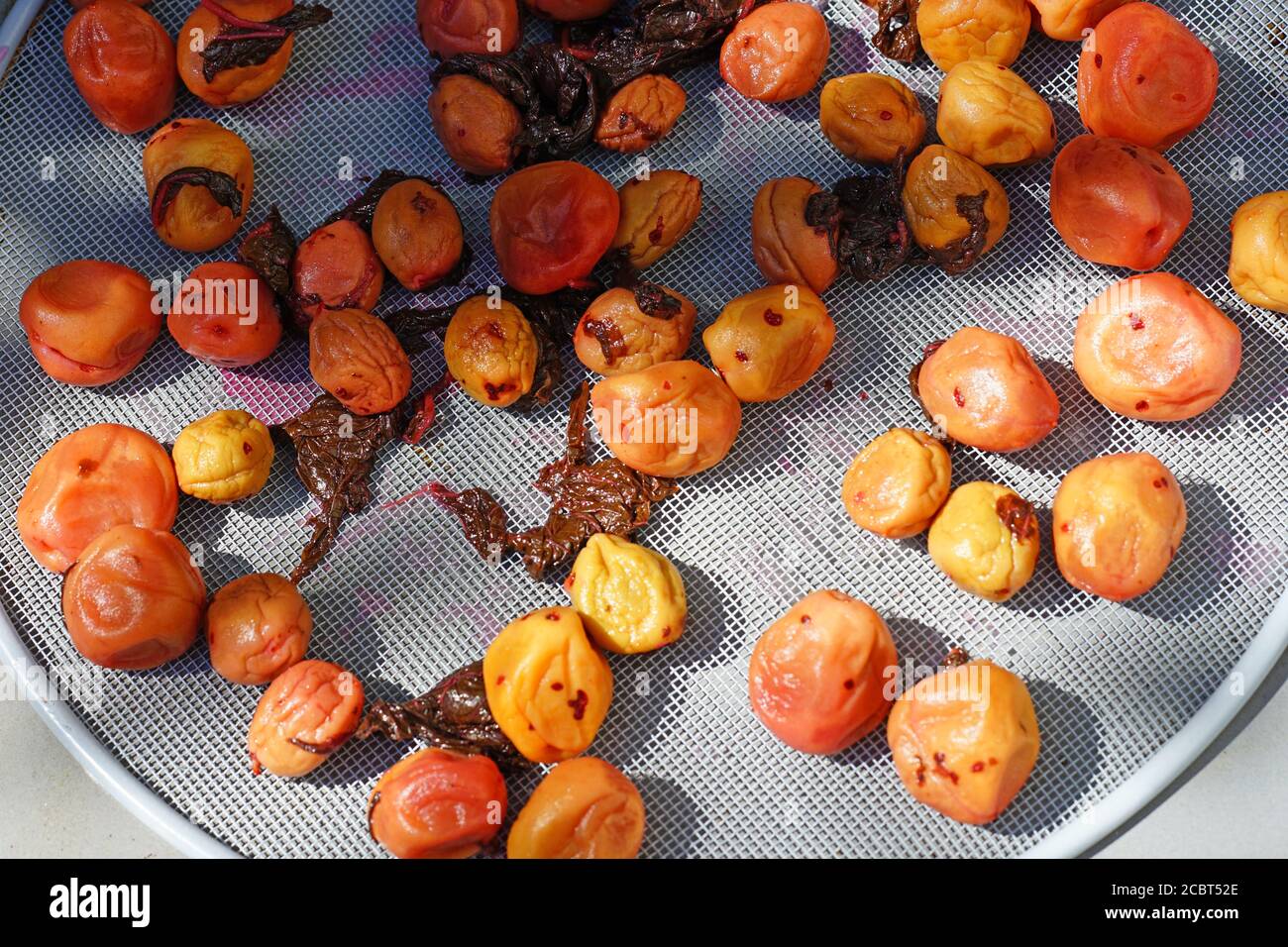 Pink umeboshi pickled ume plums with shiso homemade in summer Stock ...