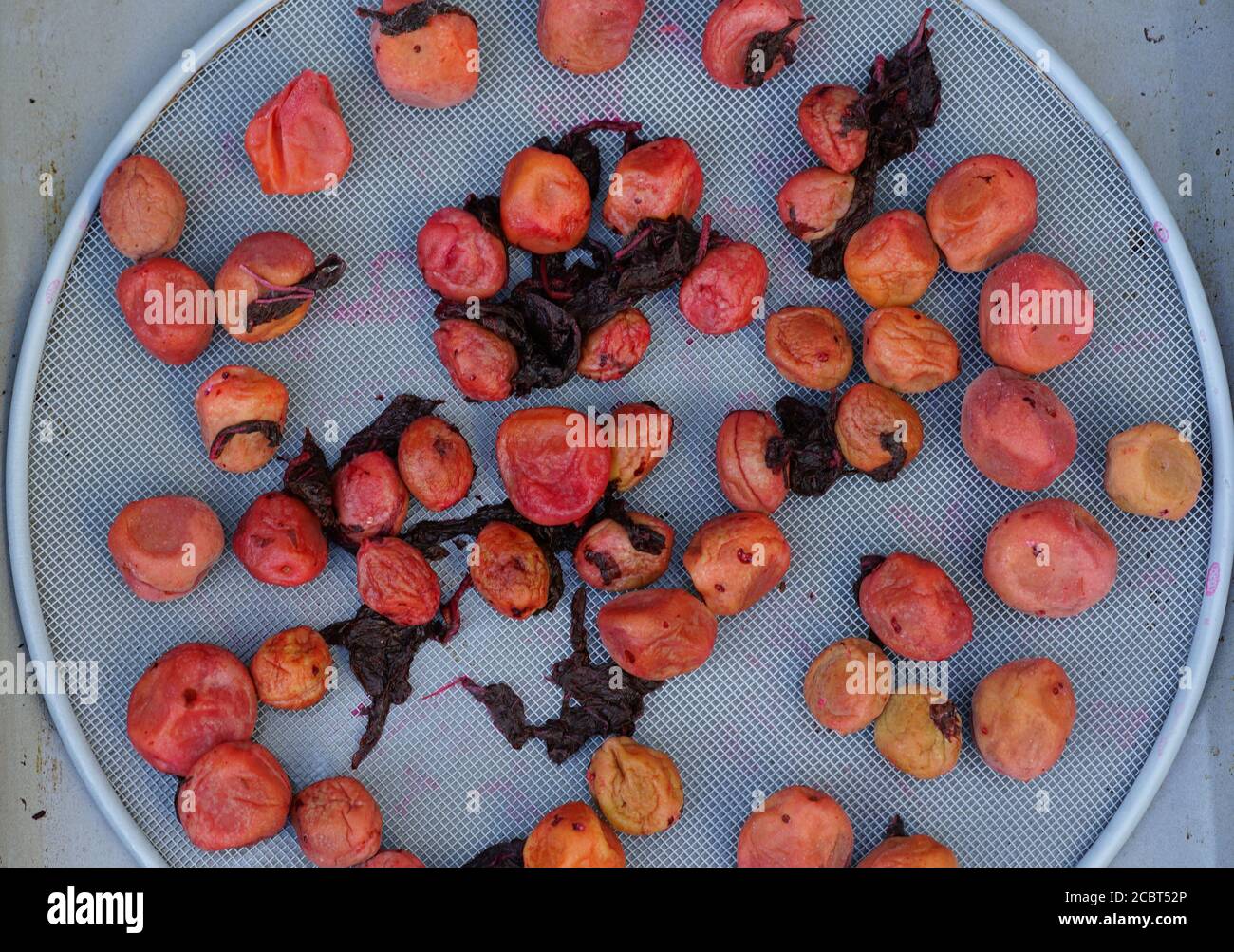 Pink umeboshi pickled ume plums with shiso homemade in summer Stock ...