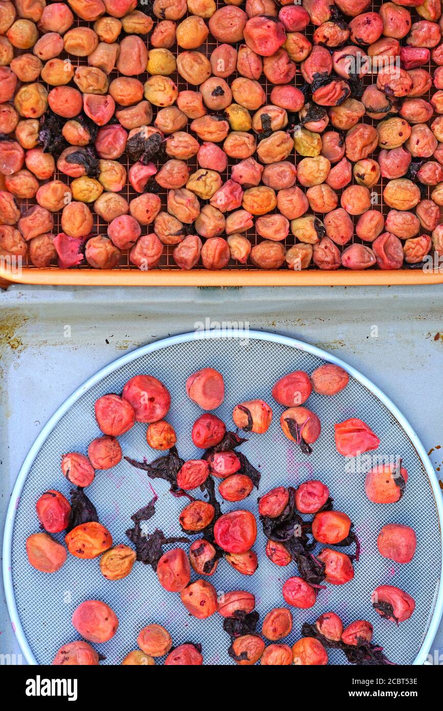 Pink umeboshi pickled ume plums with shiso homemade in summer Stock ...