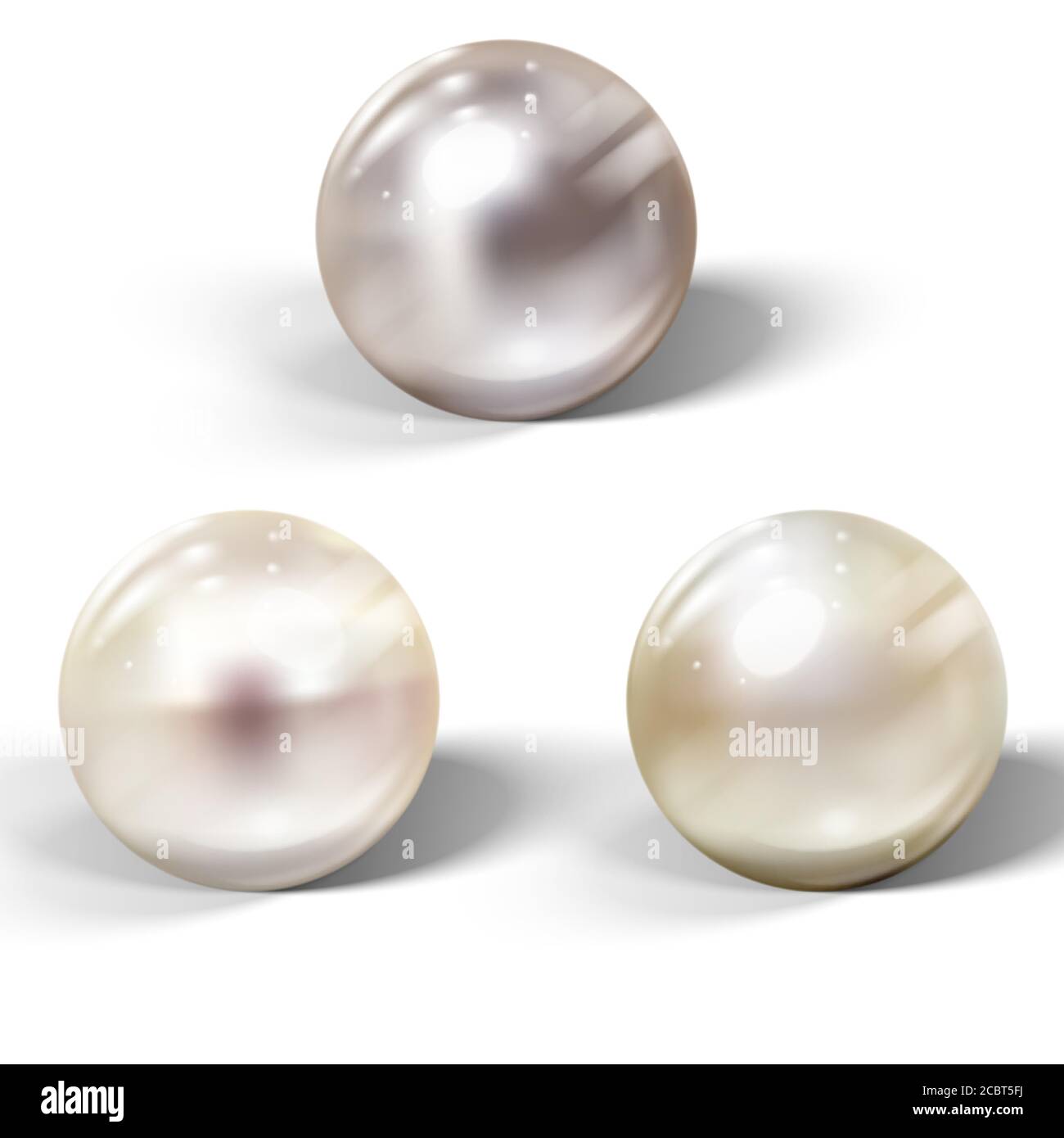 Black pearl oyster Stock Vector Images - Alamy