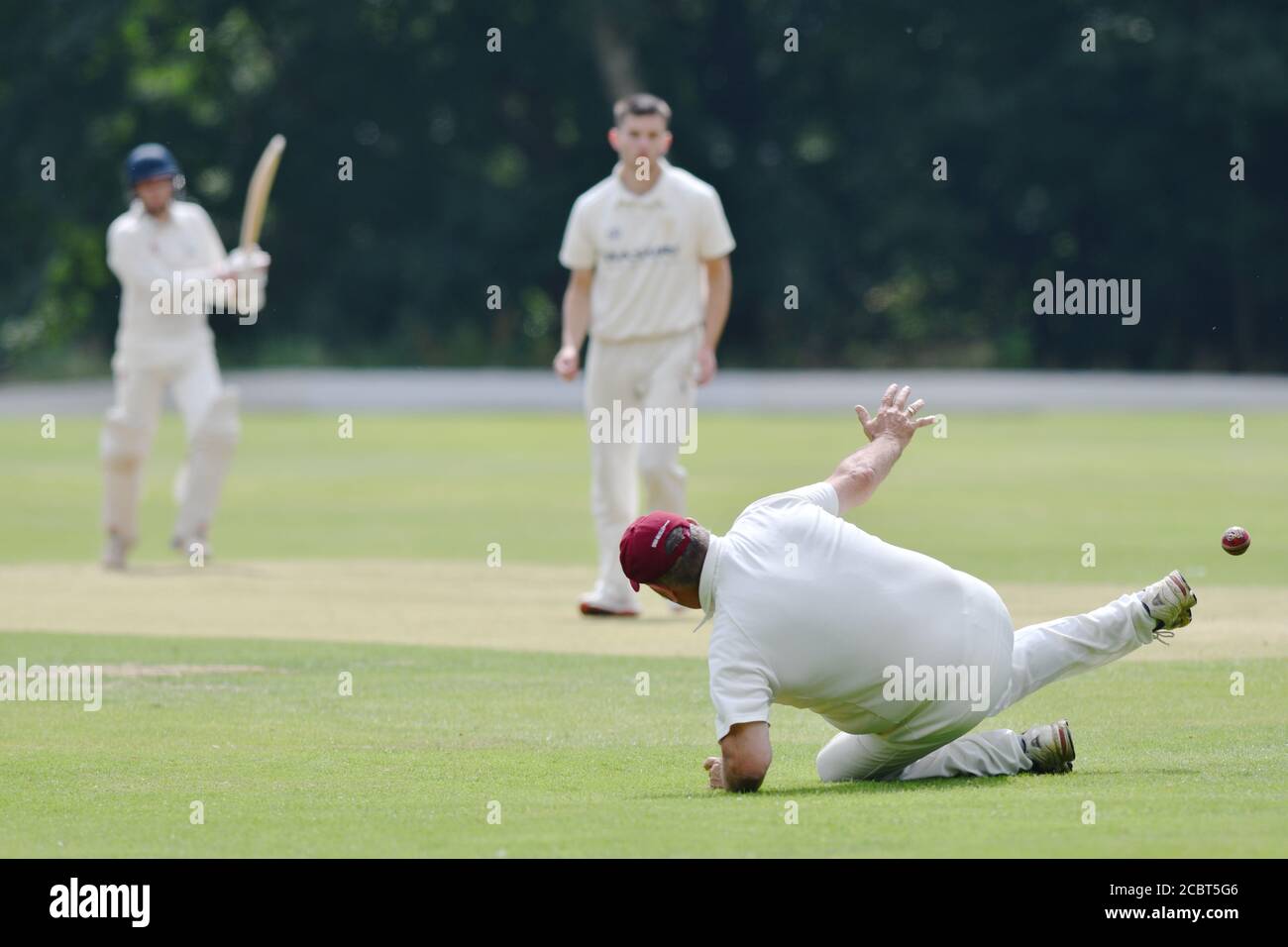 Fielding cricket hi-res stock photography and images - Alamy