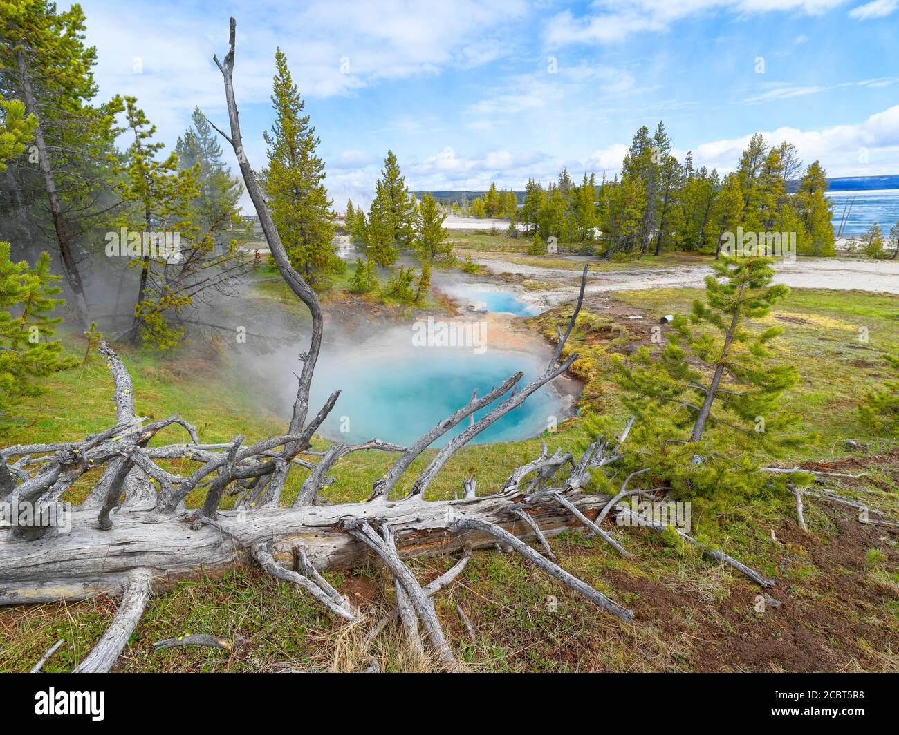 Hot springs and geysers hi-res stock photography and images - Alamy