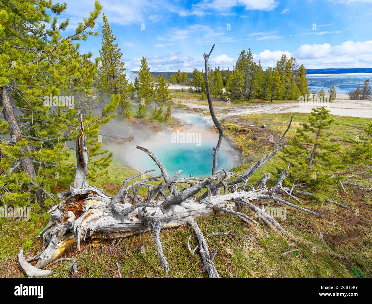 Hot springs/Geysers, Yellowstone National Park Stock Photo - Alamy