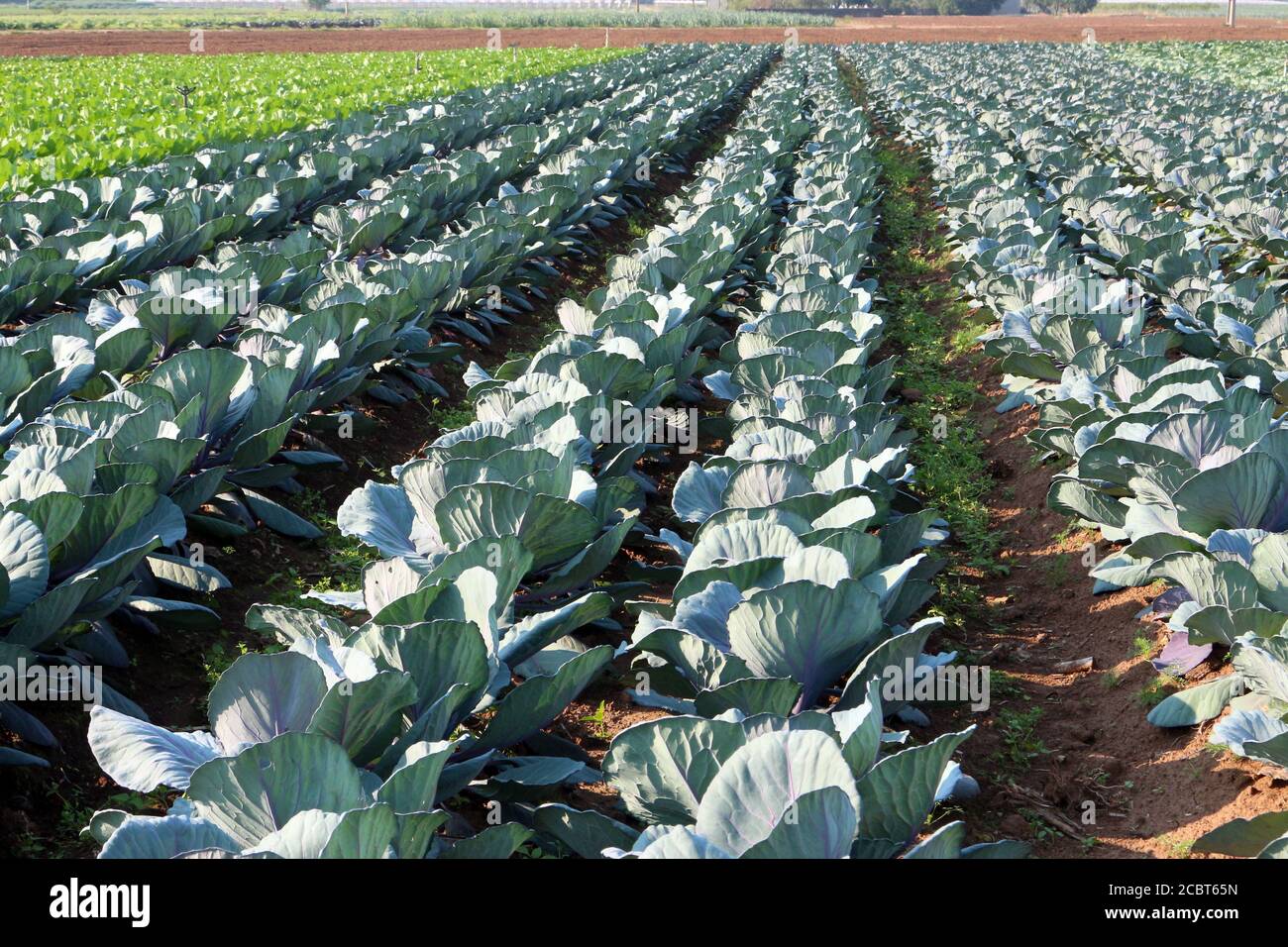 Agribusiness High Resolution Stock Photography and Images - Alamy