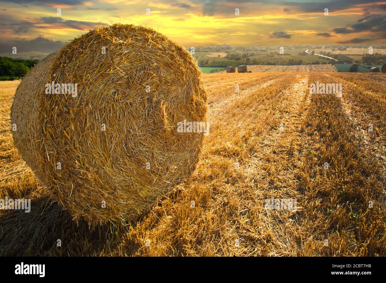 Golden sunset over farm field with hay bales Stock Photo - Alamy