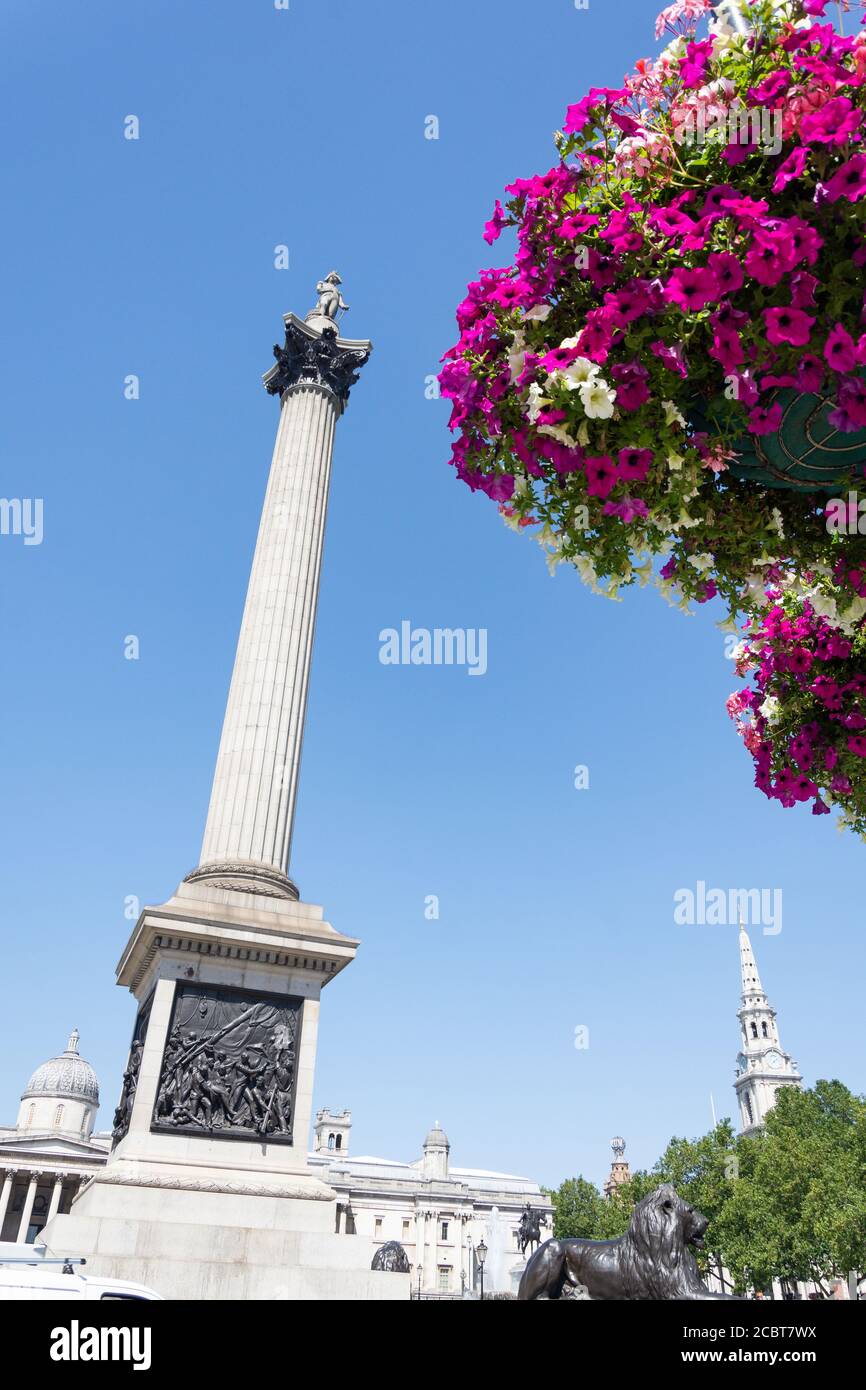 Column london trafalgar statue High Resolution Stock Photography and ...