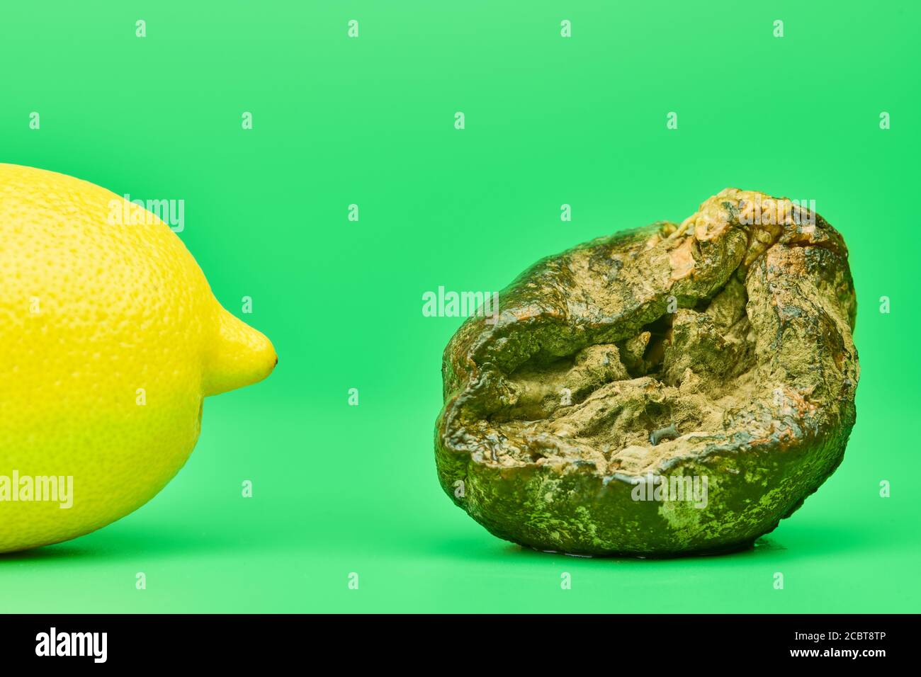 Rotten lemon and fresh lemon compare, green background. Mold putrefied ...
