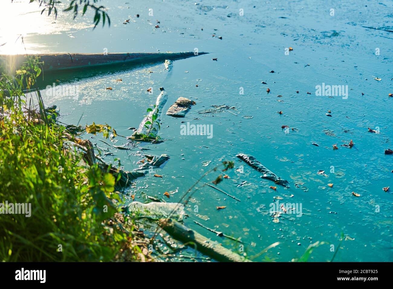 Environmental water pollution. Polluted river - dirty green water ...