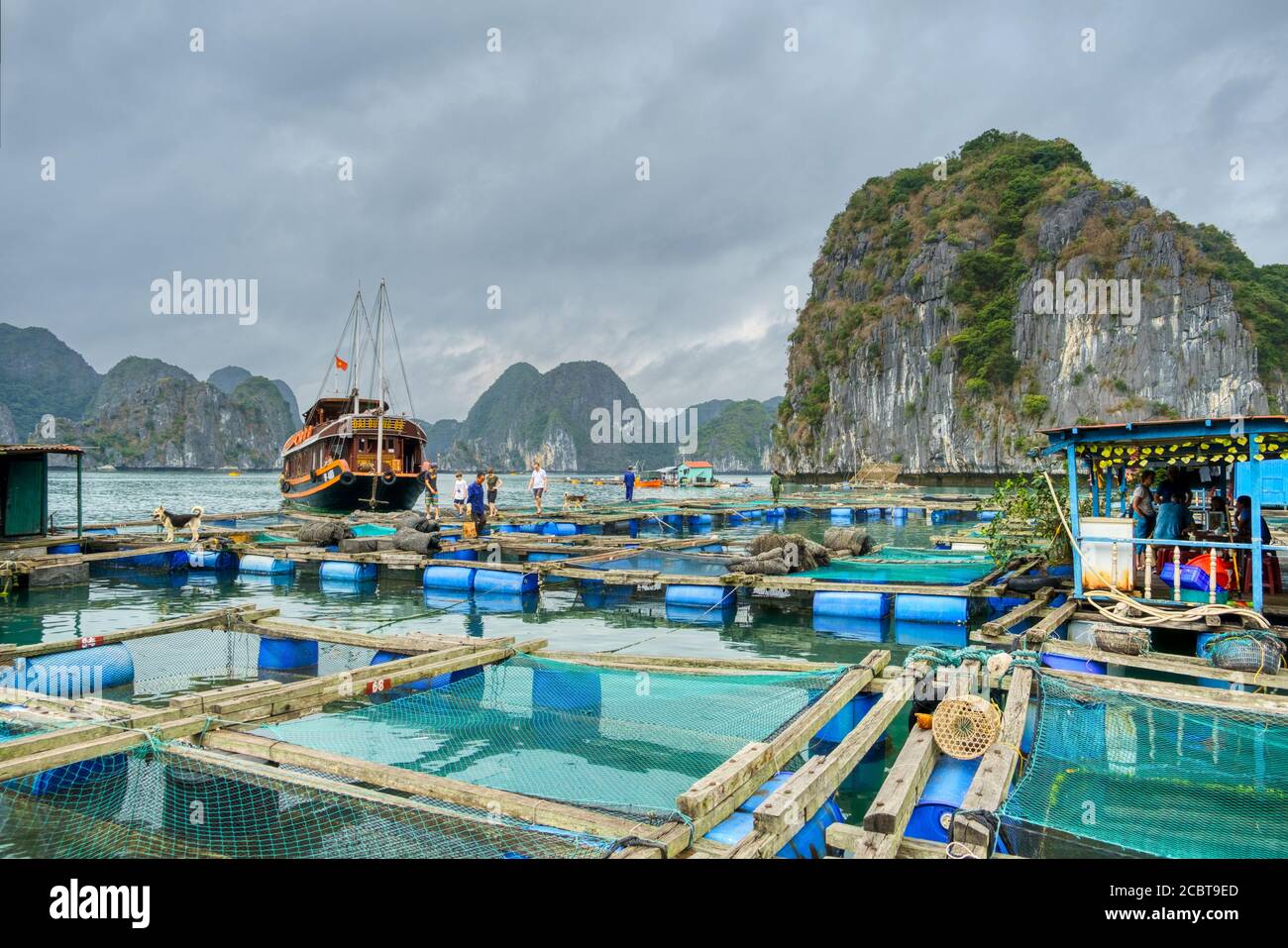 Ha Long Bay Vietnam, Fisherman village. Cloudy sky, stunning nature ...