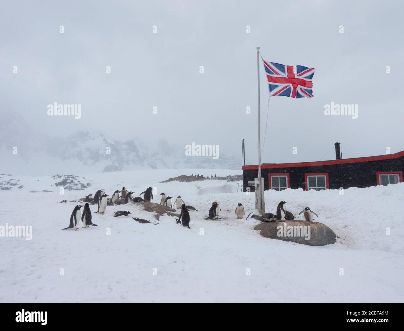 Antarctica, Wiencke Island, Palmer Archipelago, Port Lockroy. The ...