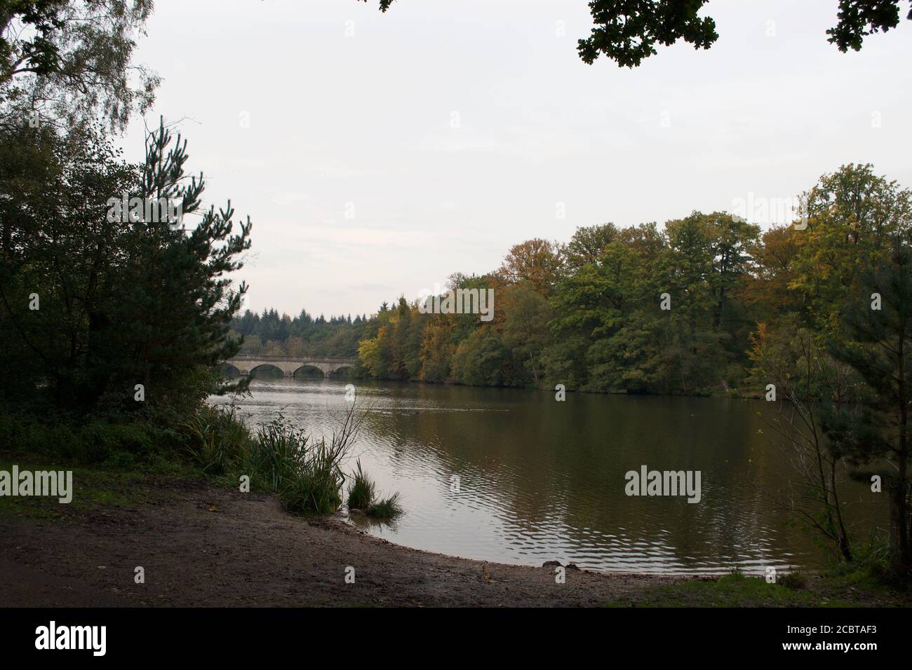 A heavy classical stone bridge with low arches across a narrow lake or ...
