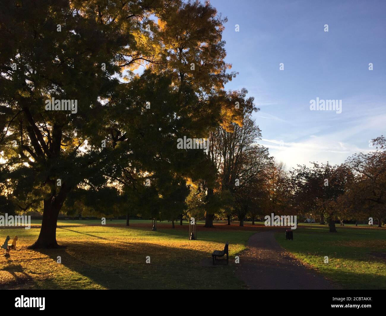 Golden evening light filters hi-res stock photography and images - Alamy