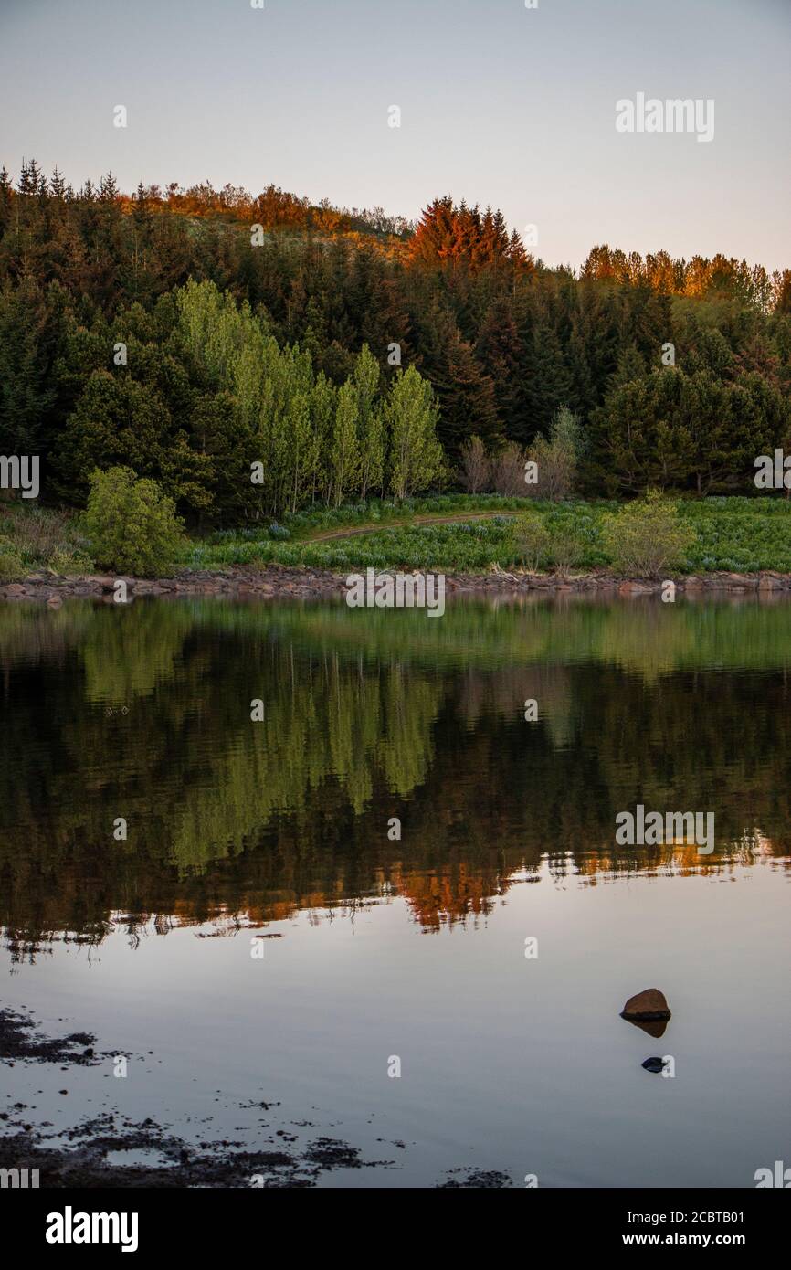 Forest reflection in water/lake Stock Photo - Alamy