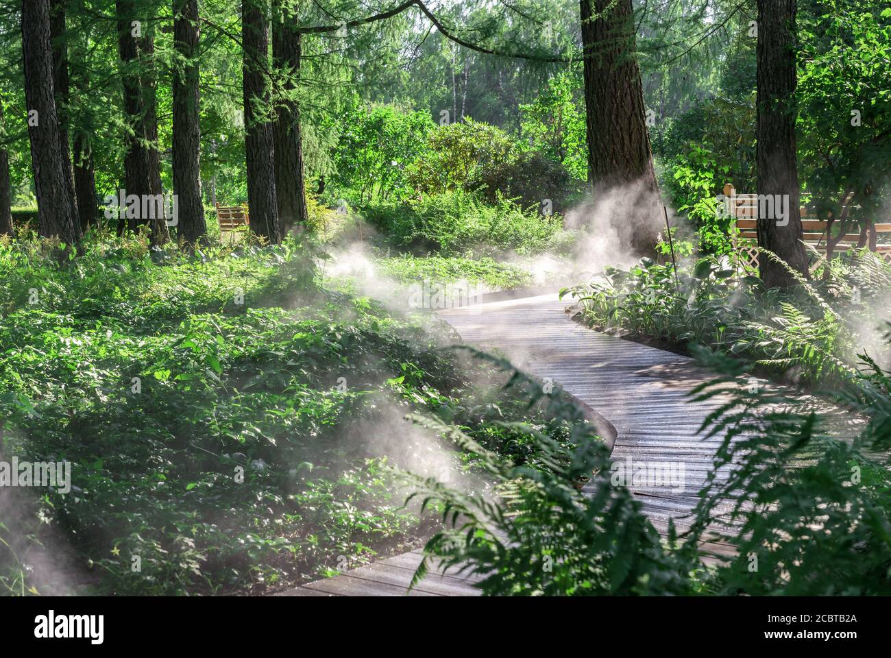 Thick haze hi-res stock photography and images - Alamy