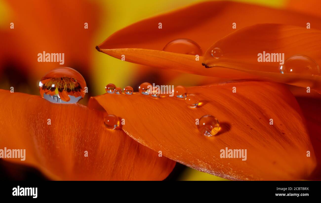 Visual effects hi-res stock photography and images - Alamy