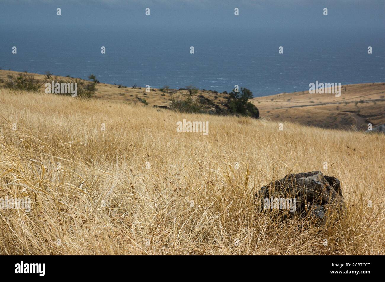 Island savane hi-res stock photography and images - Alamy