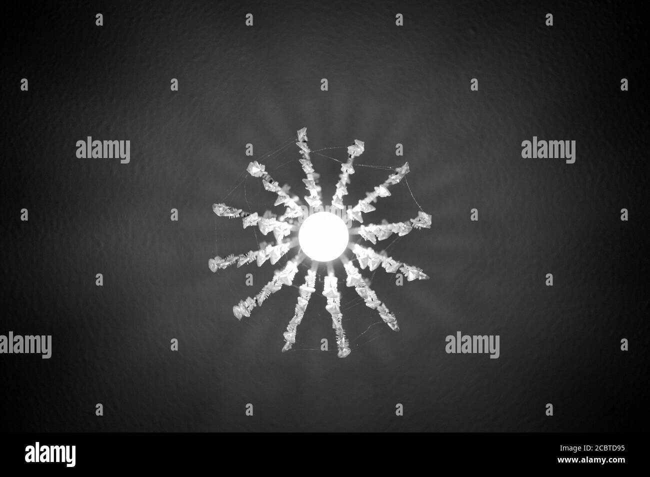 Monotone form hi-res stock photography and images - Alamy