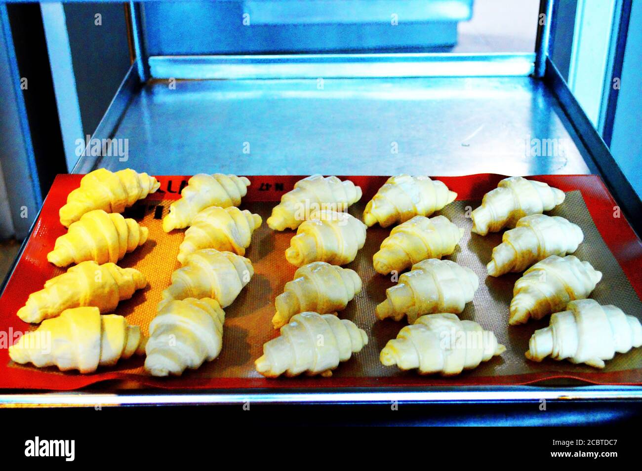 Lines of croissant bread in tray ready to bake Stock Photo - Alamy