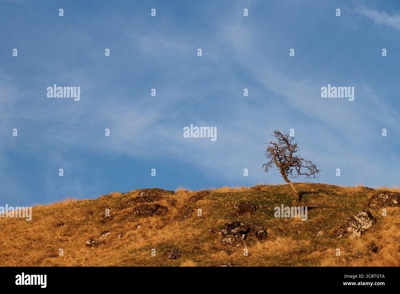 Lone tree hill hi-res stock photography and images - Alamy