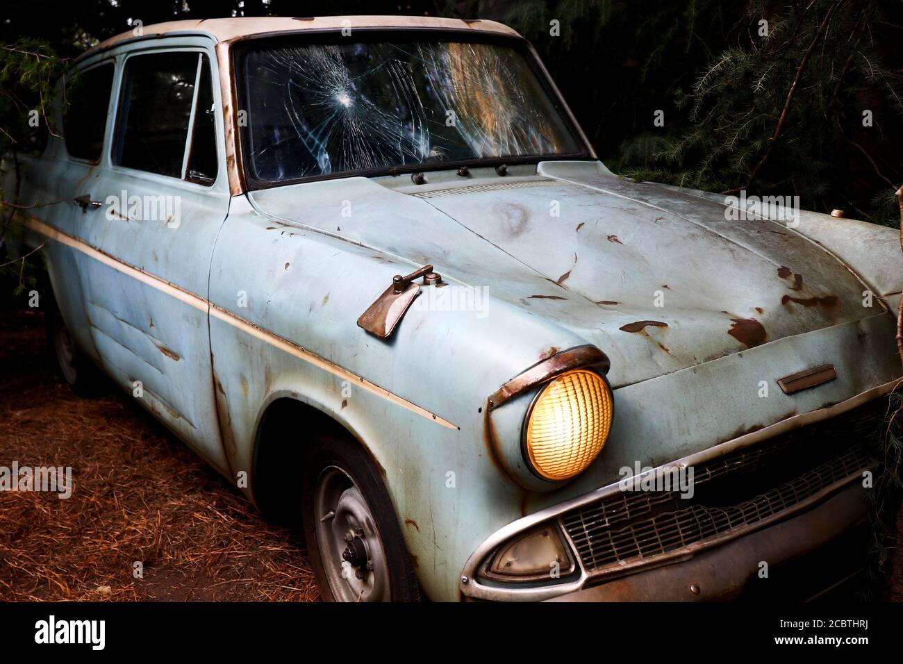 Harry Potter Flying Car