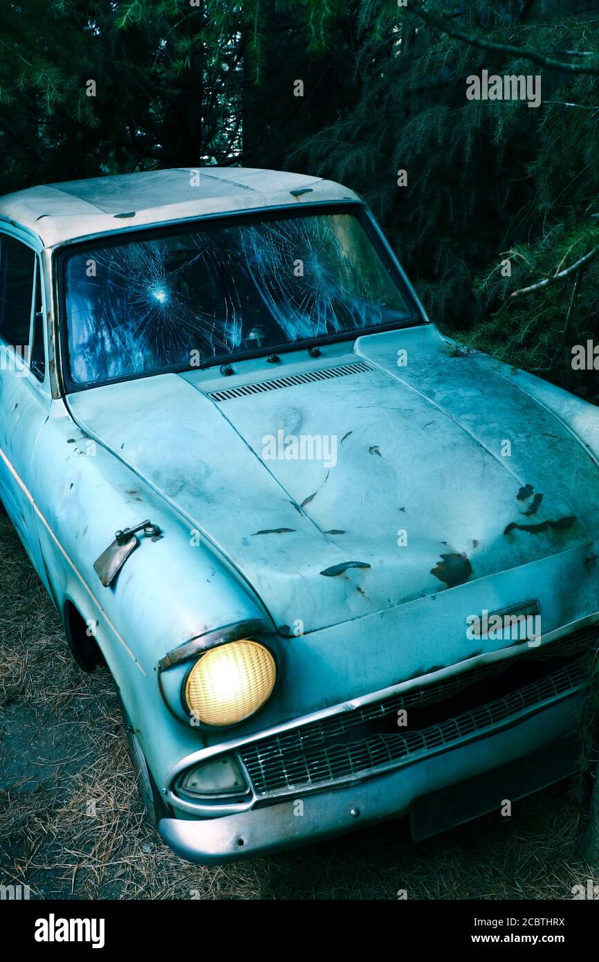 Harry Potter Flying Car