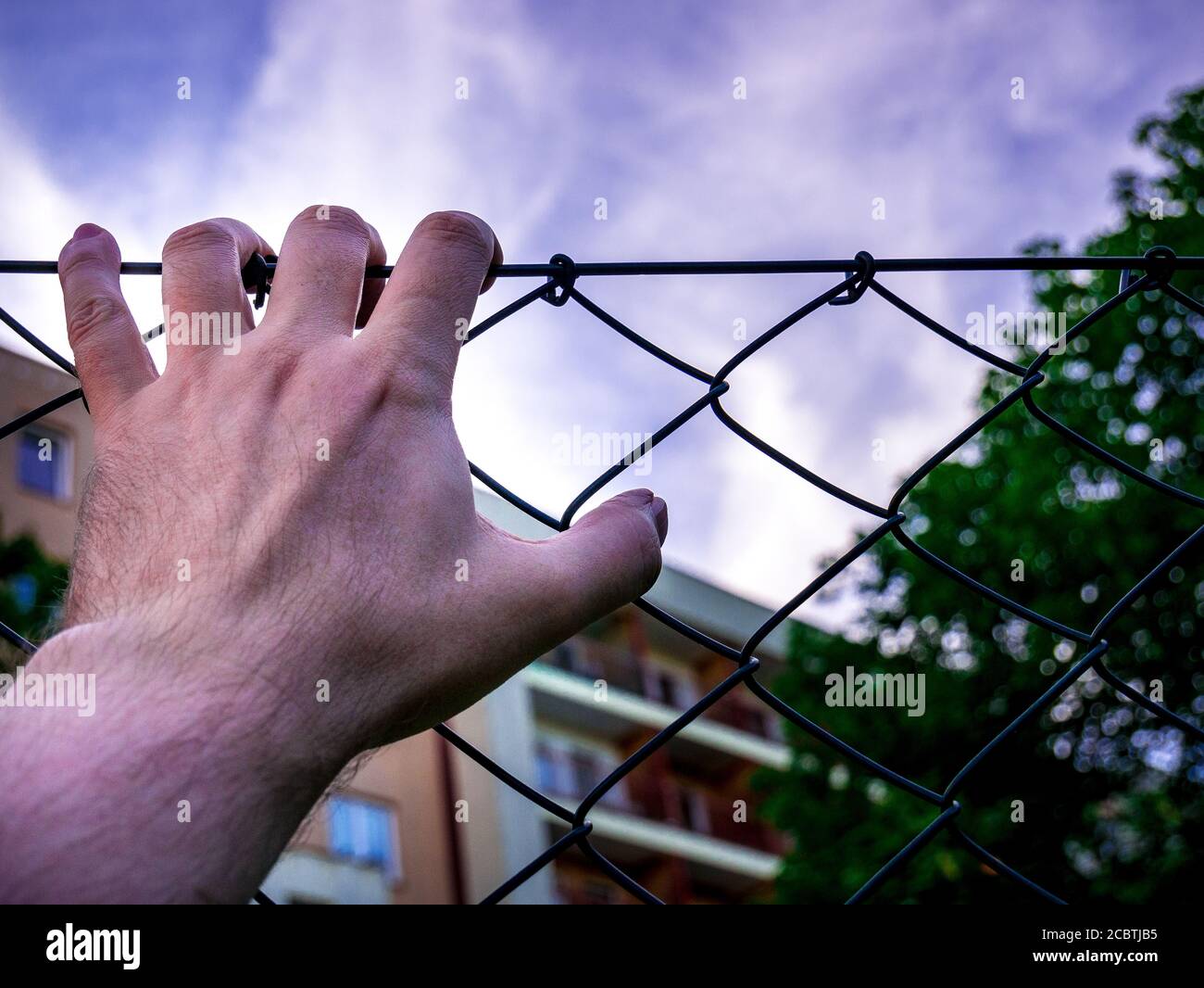 Human hand on a top of wire fence - refugee, prisoner, border etc ...