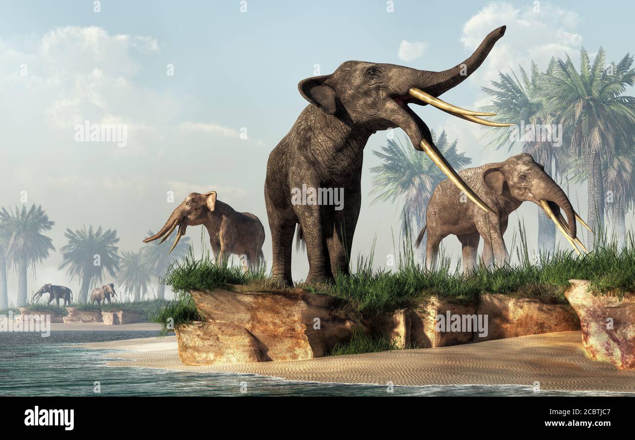 A herd of stegotetrabelodons foraging on the shore. Stegotetrabelodon ...