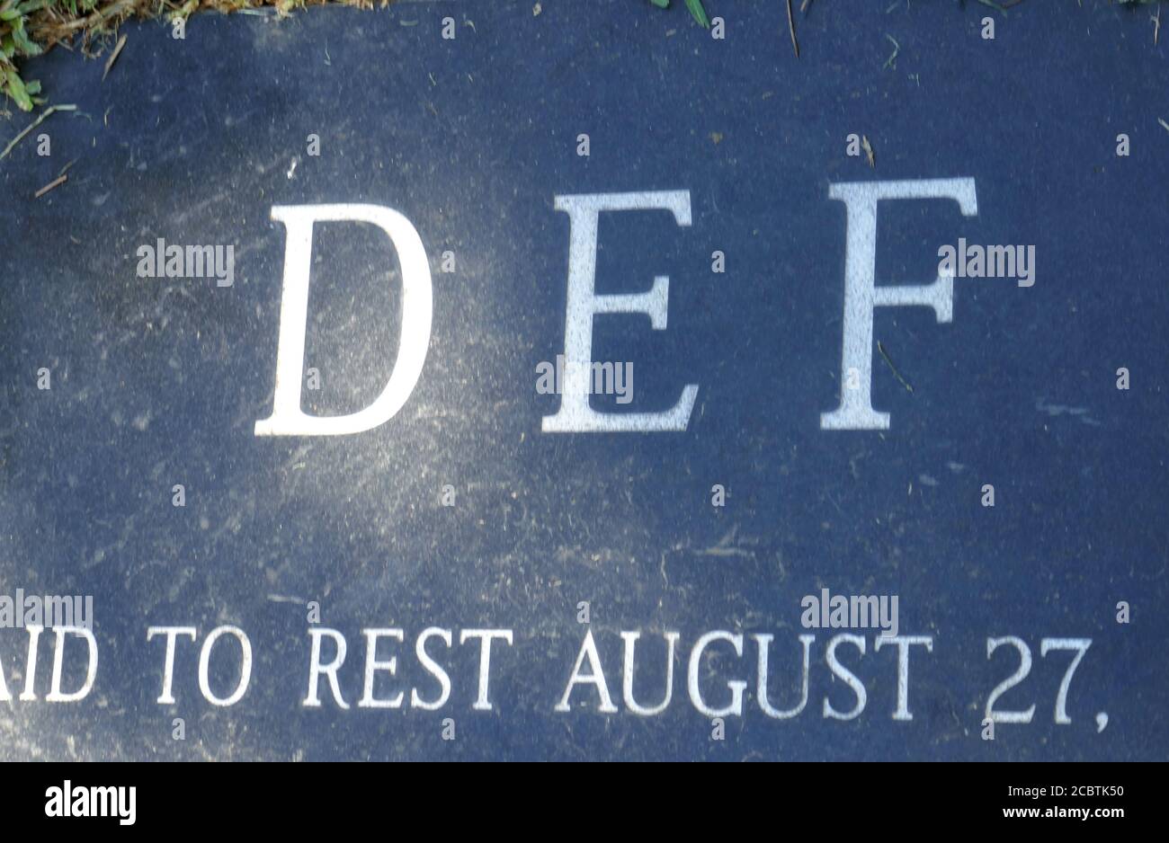 Hollywood, California, USA 14th August 2020 A general view of ...