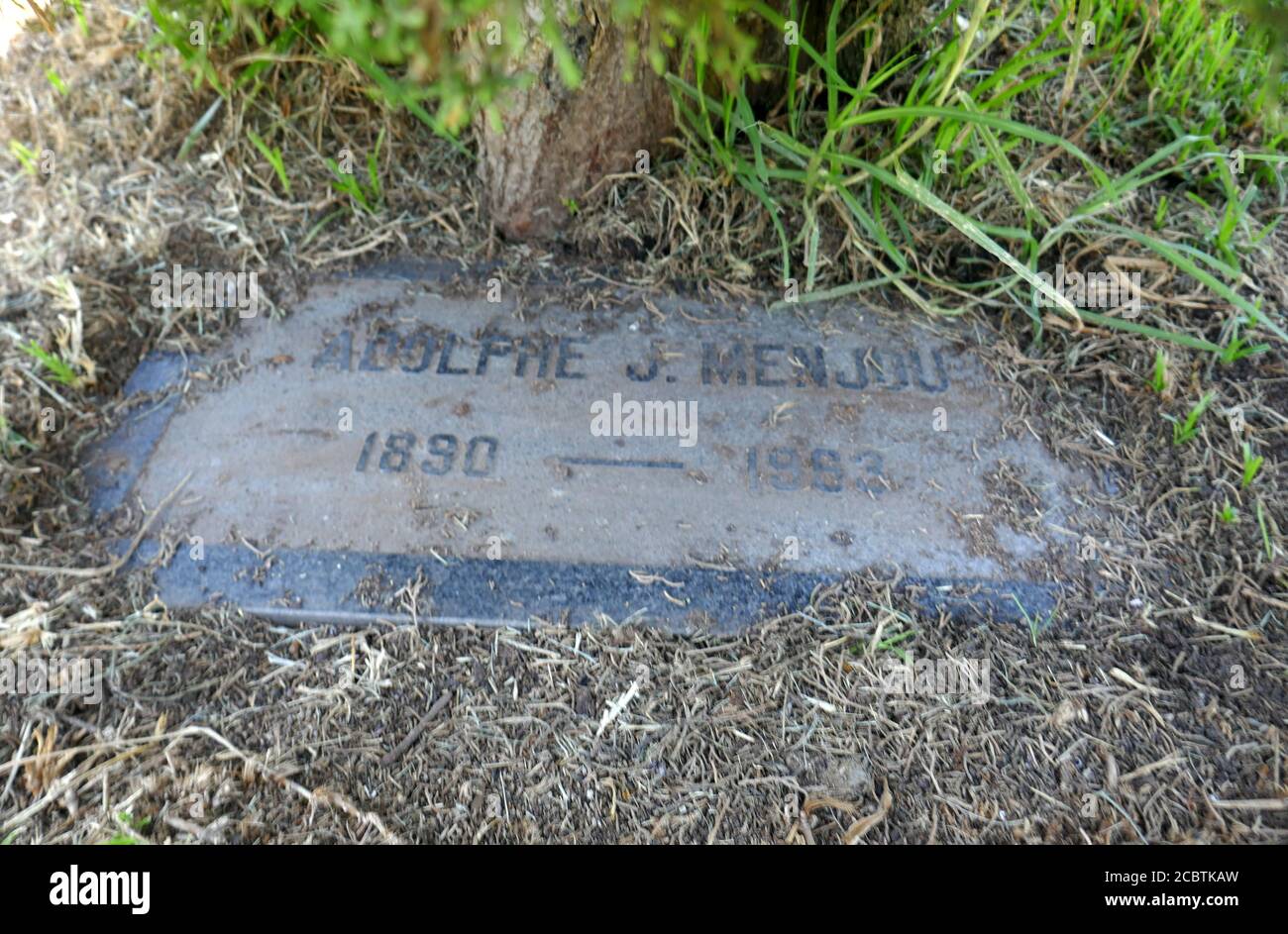 Hollywood, California, USA 14th August 2020 A general view of ...