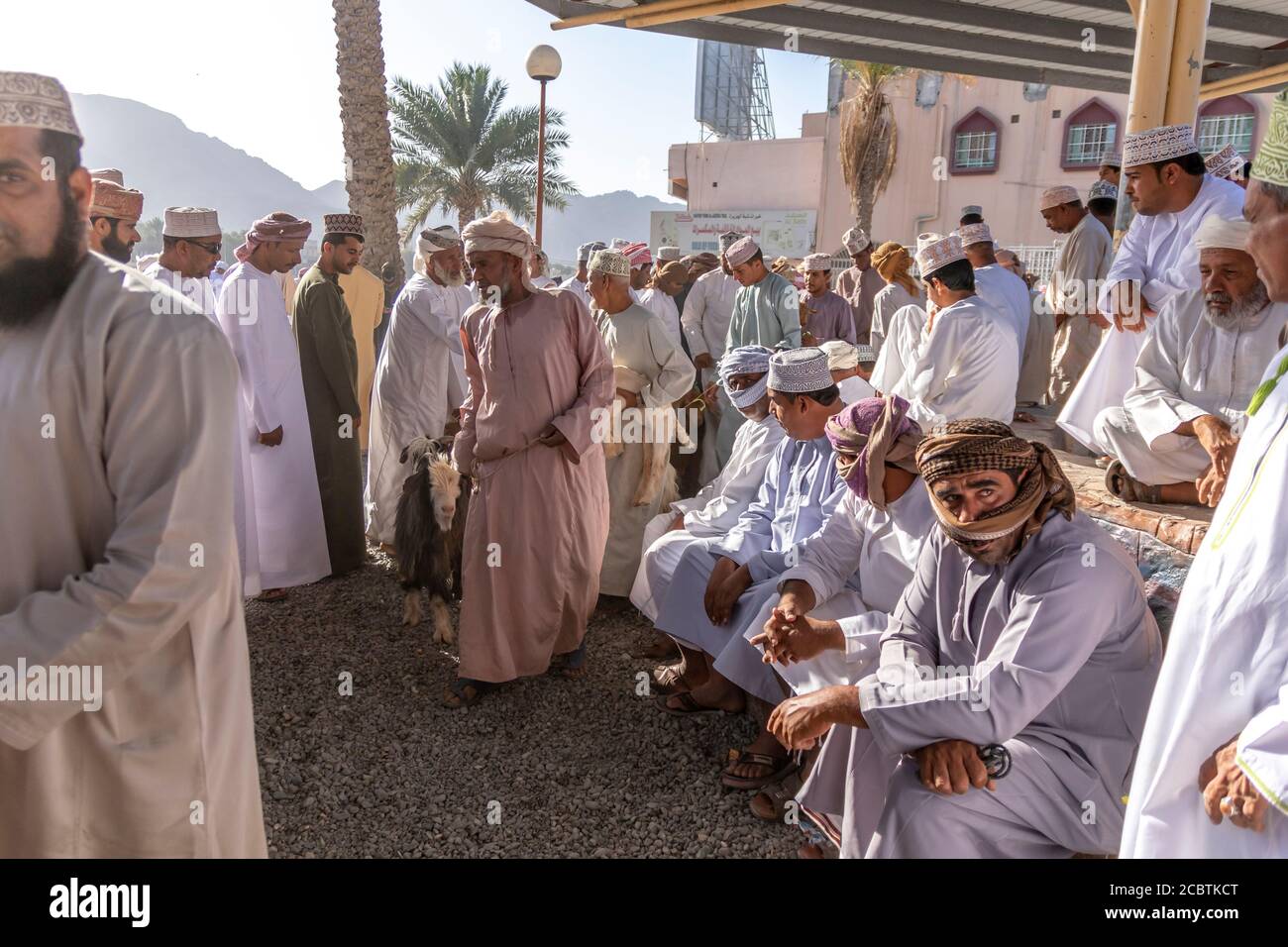 Nizwa Friday markets busy goat auction Stock Photo - Alamy