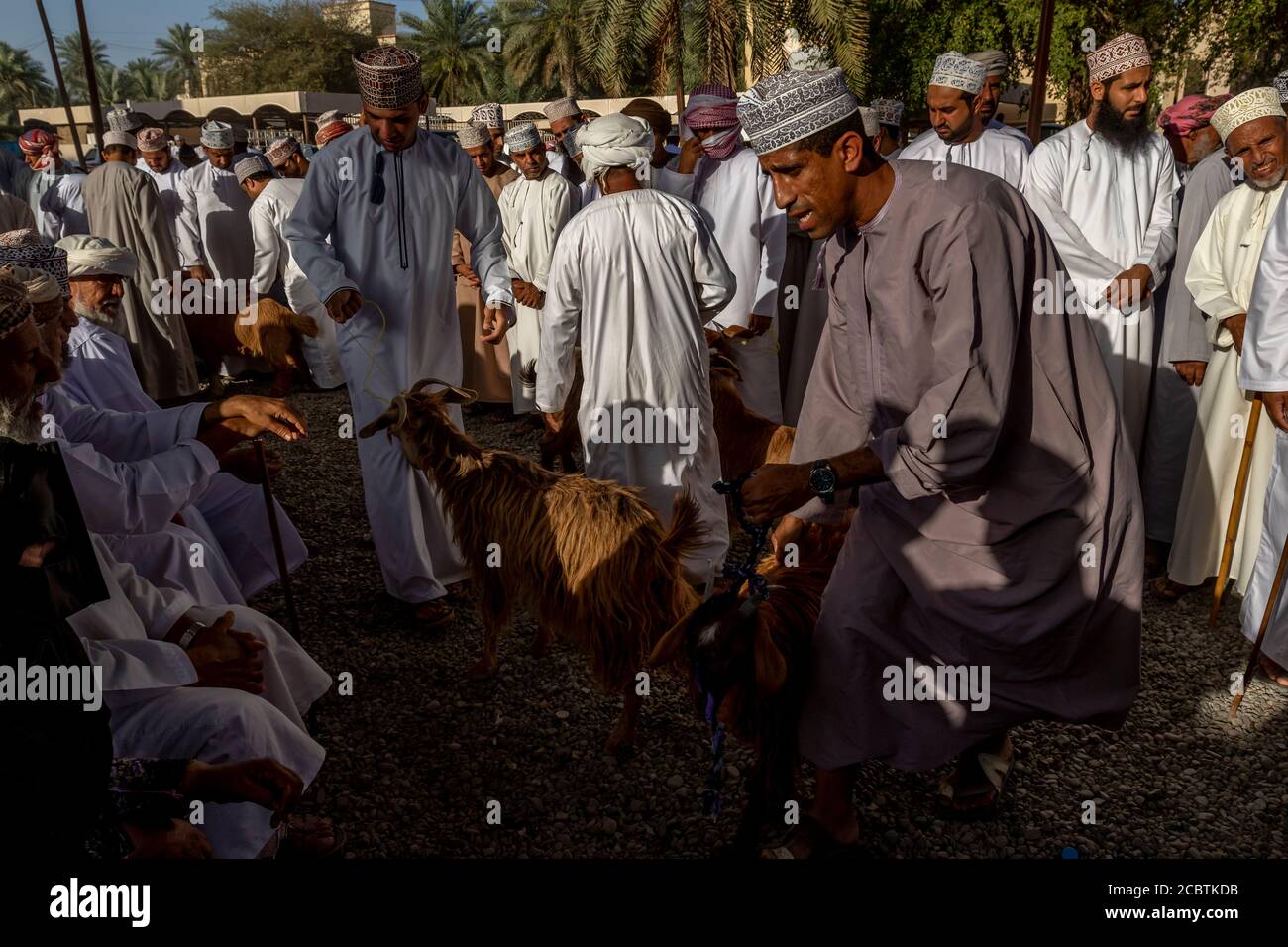 Nizwa Friday markets busy goat auction Stock Photo - Alamy