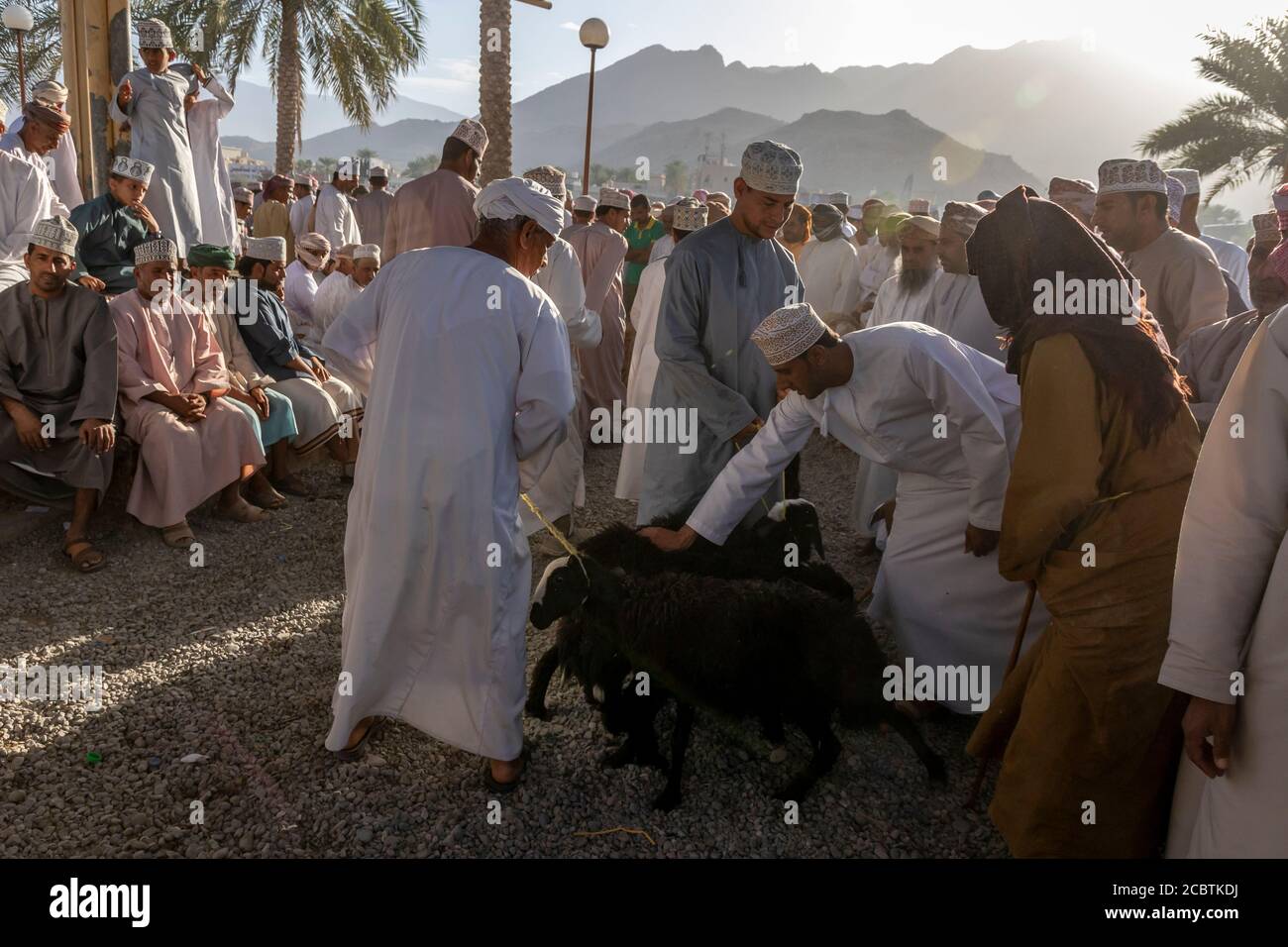 Nizwa Friday markets busy goat auction Stock Photo - Alamy