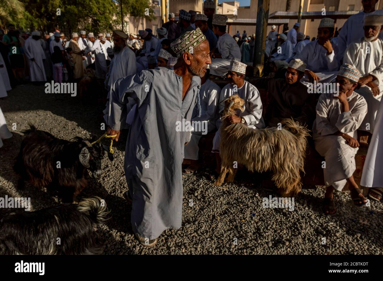 Nizwa Friday markets busy goat auction Stock Photo - Alamy