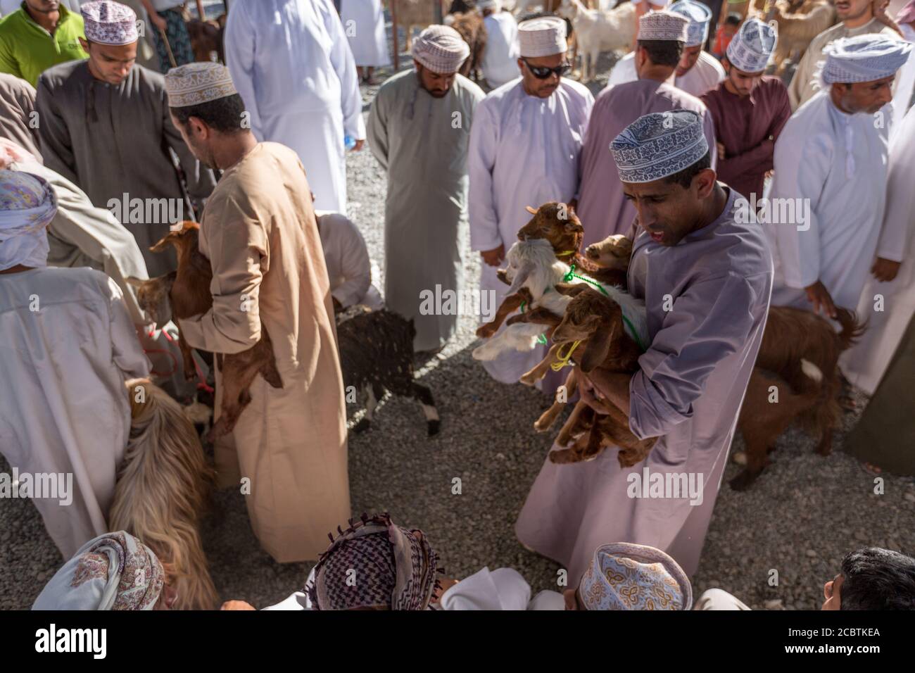 Nizwa Friday markets busy goat auction Stock Photo - Alamy