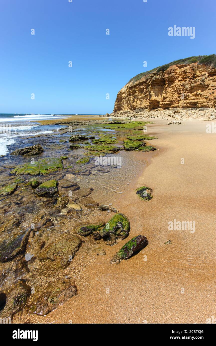 Can You Take Dogs To Bells Beach