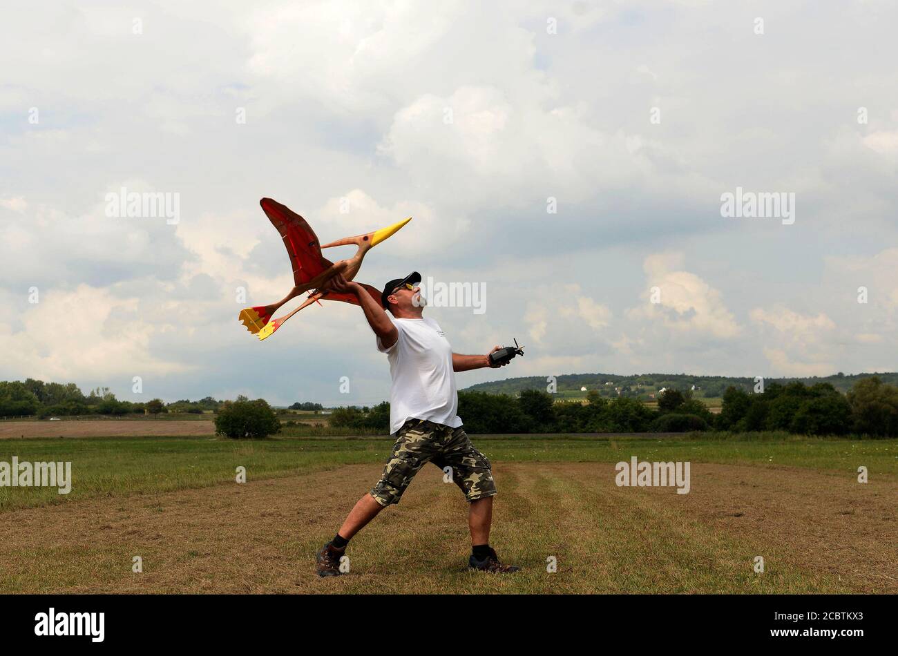 Pteranodon model hi-res stock photography and images - Alamy