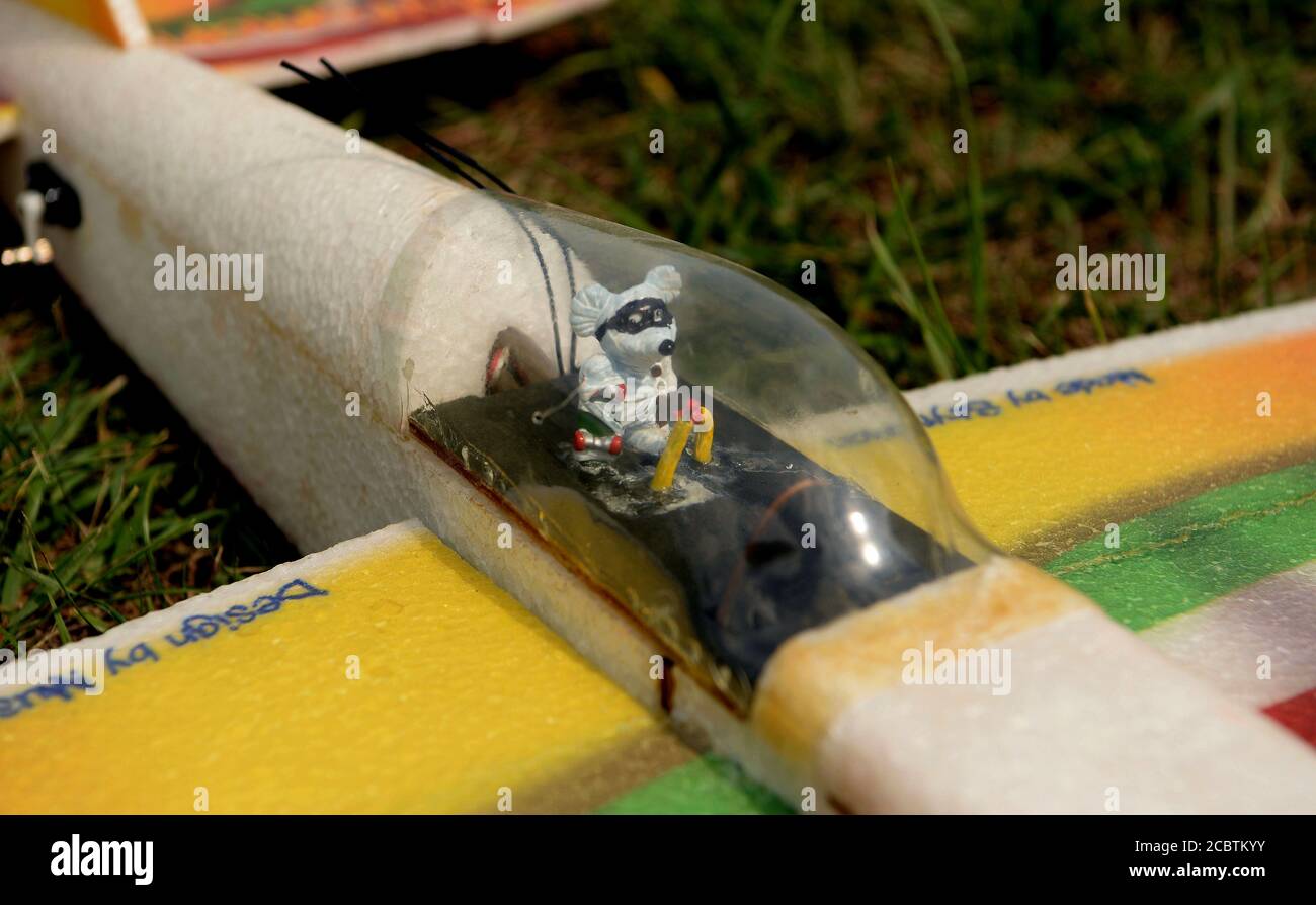 A close up of a "toy pilot" in the cockpit of a model airplane at the ...