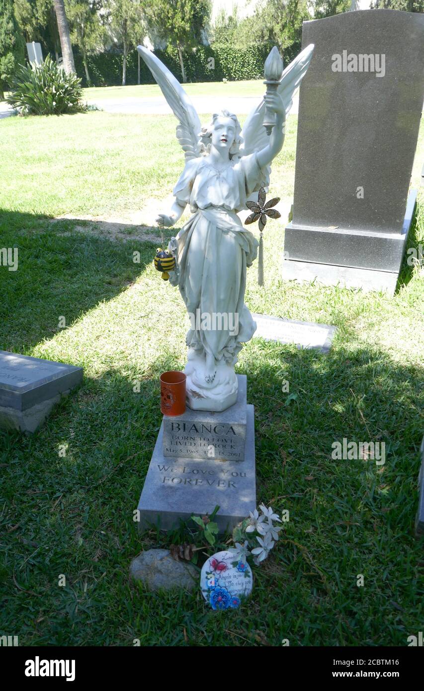 Hollywood, California, USA 14th August 2020 A general view of ...