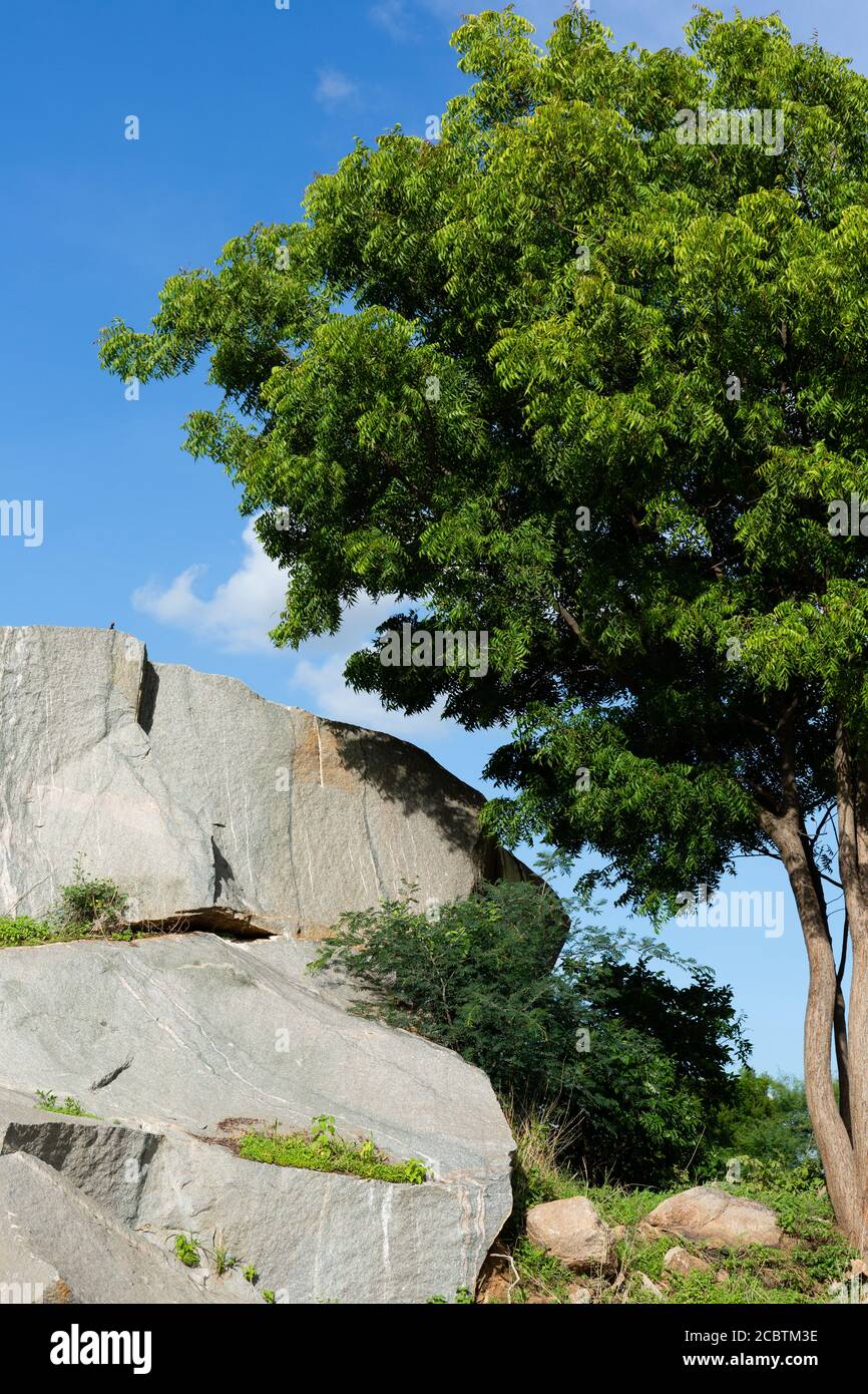 Rocks and Trees and Sky Stock Photo - Alamy
