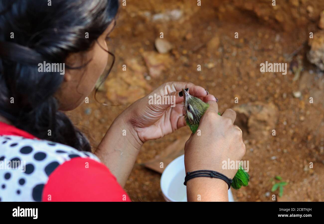 Girl bird hi-res stock photography and images - Alamy