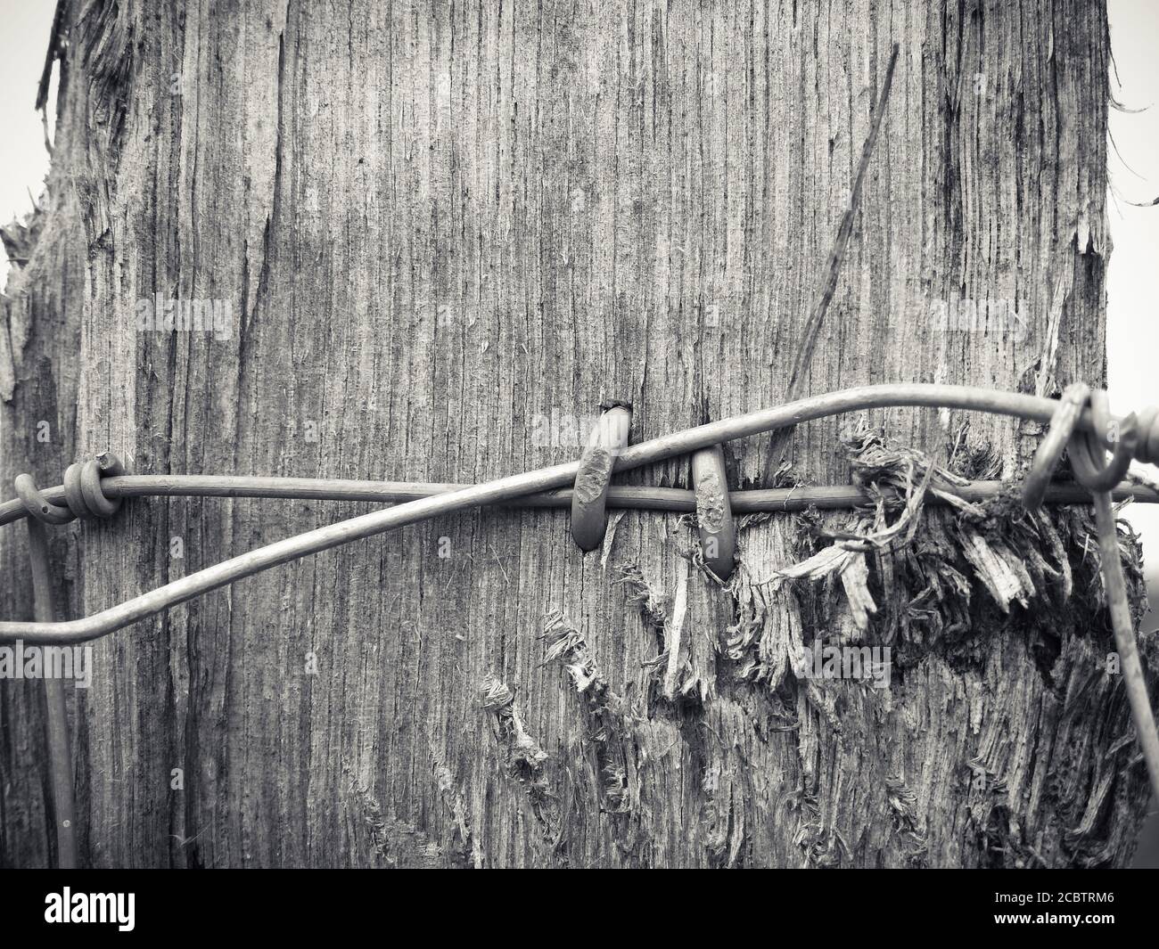 Attached on metal pole hi-res stock photography and images - Alamy