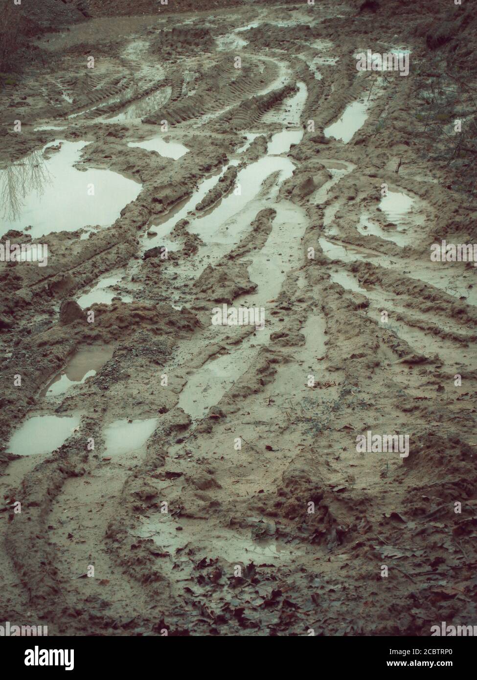 Vertical shot muddy ground hi-res stock photography and images - Alamy