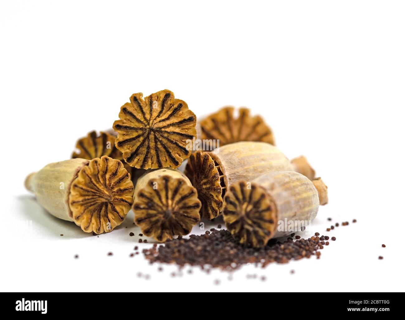 Poppy seed capsules hi-res stock photography and images - Alamy