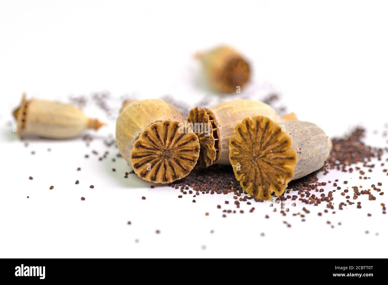 Poppy seed capsules hi-res stock photography and images - Alamy