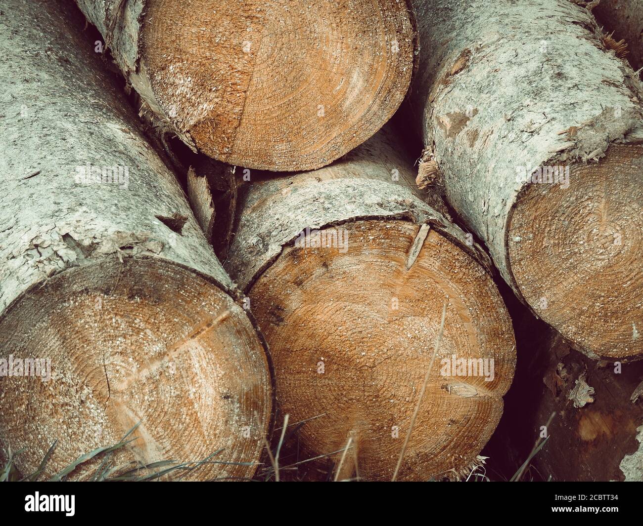 Pile of logs, texture for background or wallpaper Stock Photo - Alamy