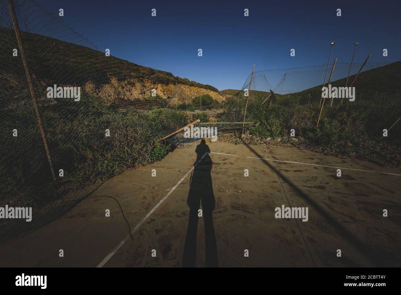 Shadow cast by trees hi-res stock photography and images - Alamy