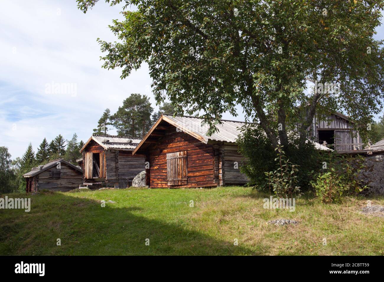 Wooden warehouse, storehouse, farmhouse far out in rural country. Trees ...